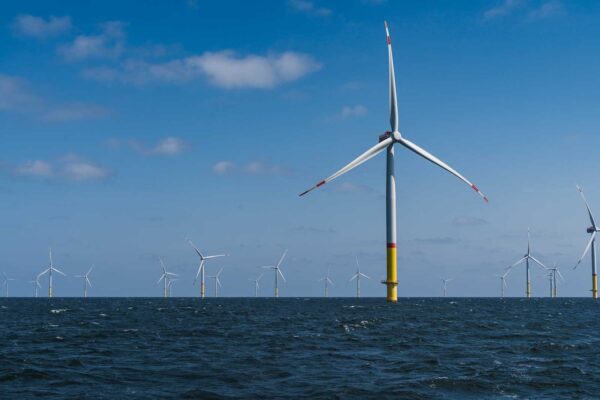EWE, RWE: 'Alpha Ventus Is Not a Regular Offshore Wind Farm; Project ...