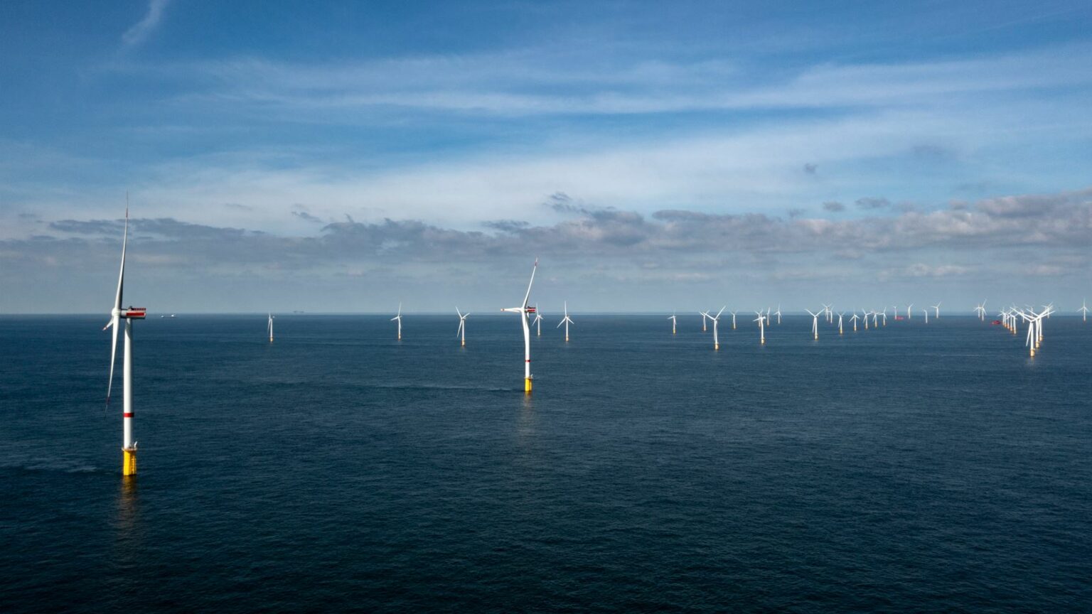 Australia's First Offshore Wind Tender Scheduled for August | Offshore Wind