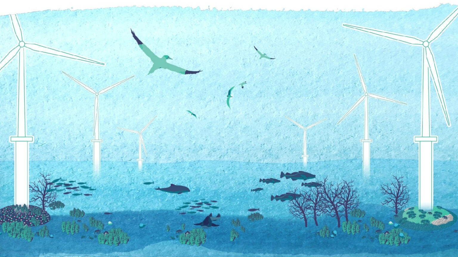 Mitsui O.S.K. Lines Partners with Another Dutch Floating Wind Tech ...