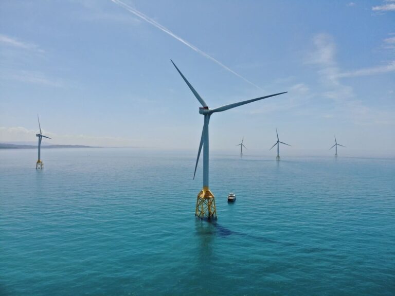 EnBW Drops Morgan & Mona Offshore Wind Projects After Not Securing CfDs ...
